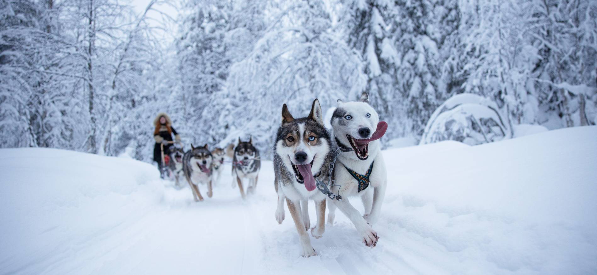 Actieve en ontspannen weekend in Salla | Voigt Travel